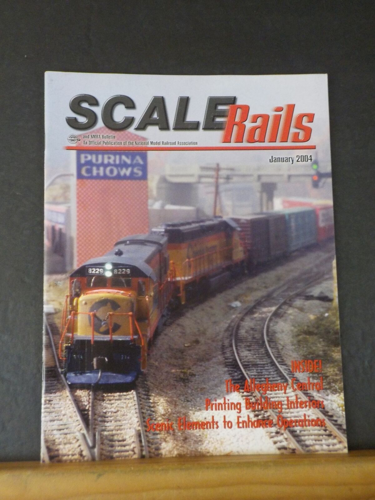 Scale Rails NMRA 2004 January The Allegheny Central – RailroadTreasures