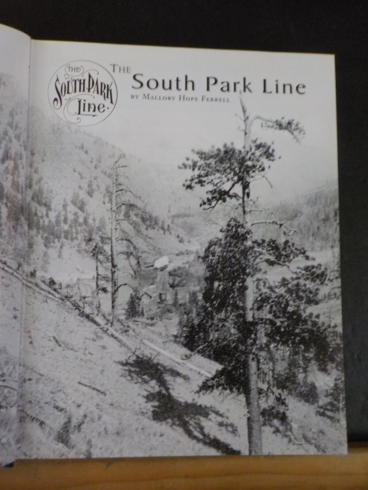 South Park Line by Mallory Hope Ferrell w/ dust jacket – RailroadTreasures