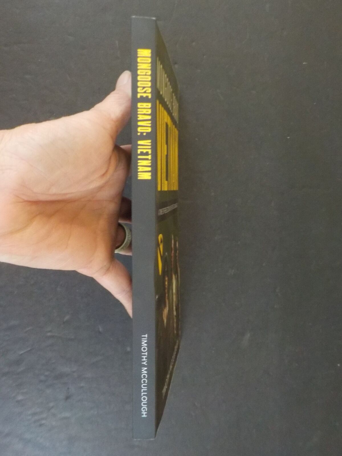 Mongoose Bravo Vietnam by Timothy McCullough Soft Cover – RailroadTreasures