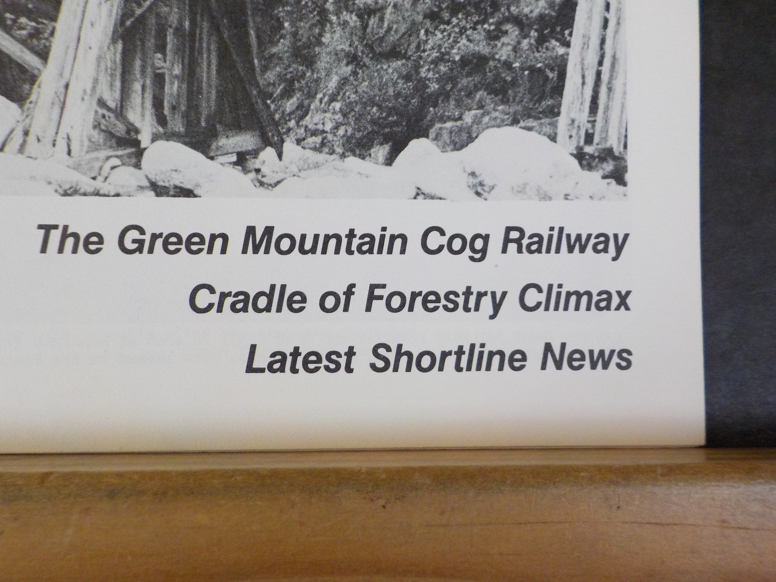 The Short Line TSL #51 1981 May / June Journal of Shortline & Industri ...