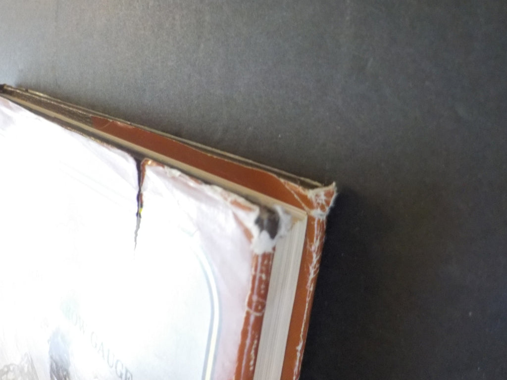 C&Sng Colorado & Southern Narrow Gauge Ferrell w dust jacket ...