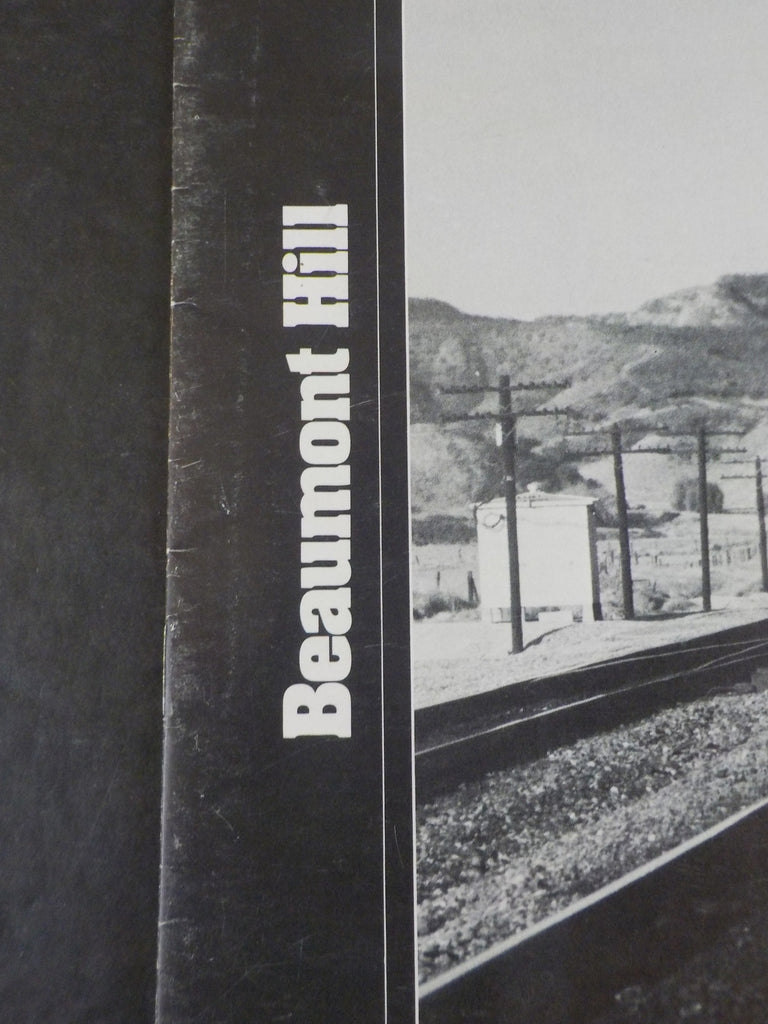 CTC Board Railroads Illustrated #84 1982 June Beaumont Hill ...