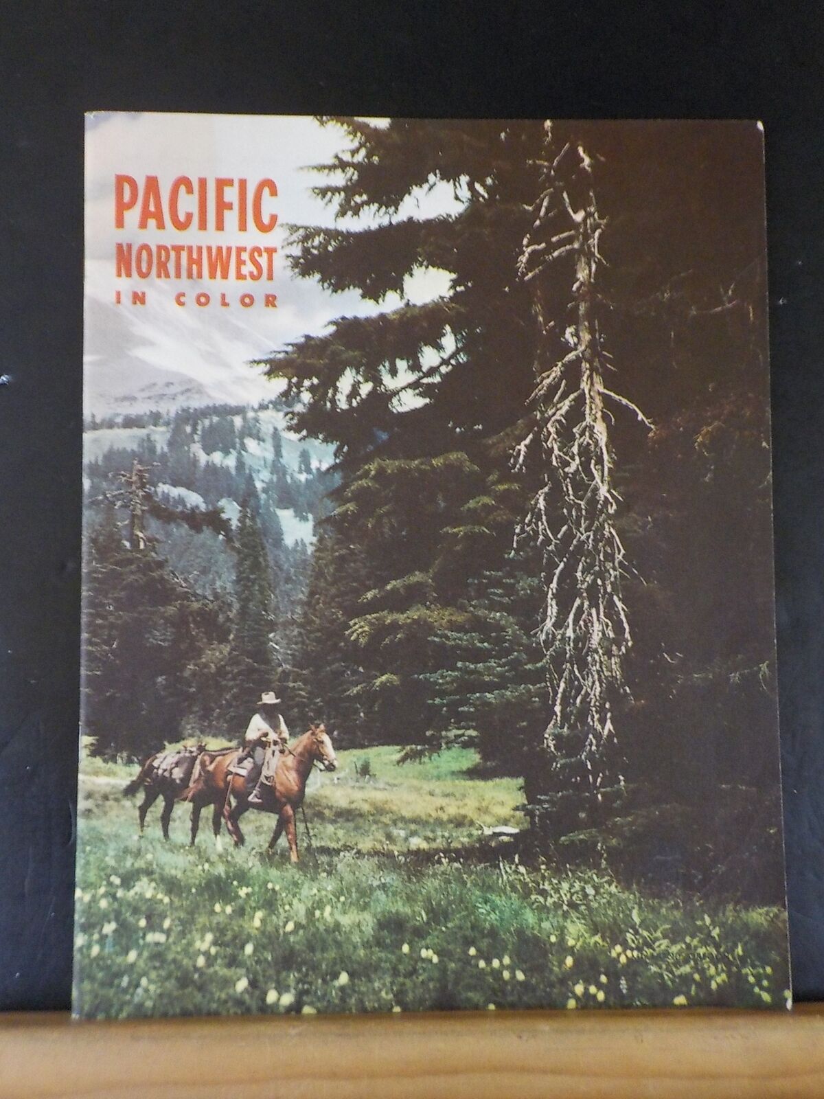 Pacific Northwest in Color 28 pages of photos & prints – RailroadTreasures